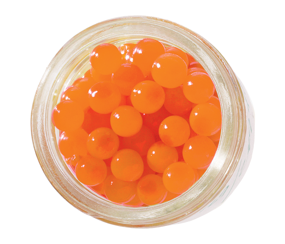 Salmon Eggs & Roe - Go Salmon Fishing